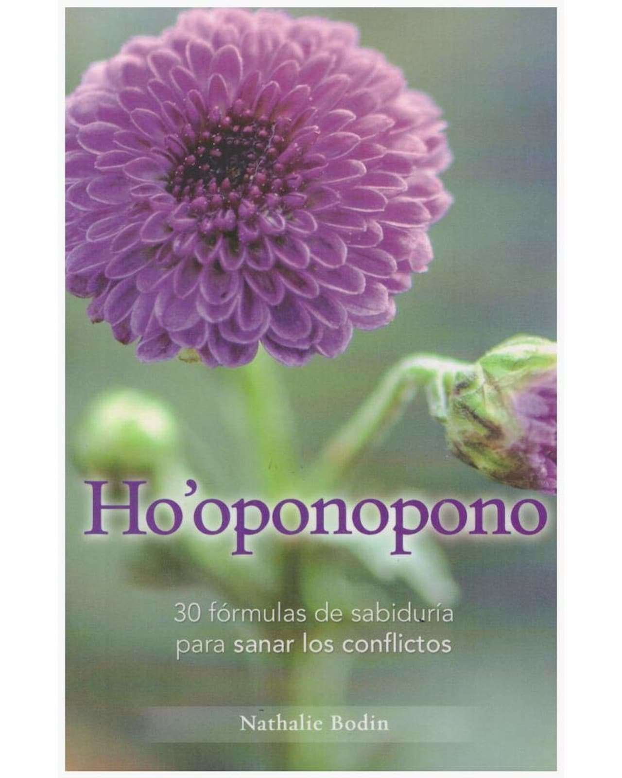 Libro Ho'ponopono. 30 Fórmulas De Sabiduría Editorial Grupo Editorial Tomo Autor Nathalie Boodin ...