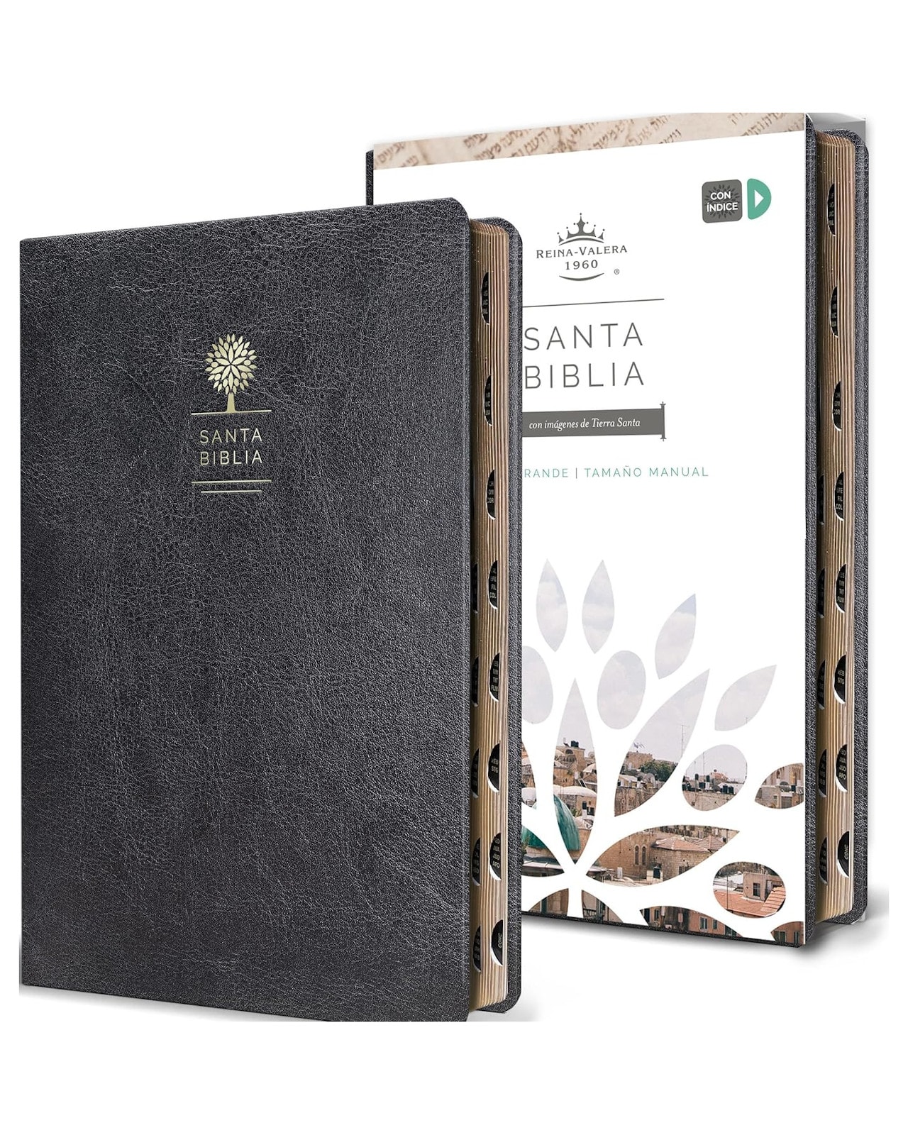 Libro - Biblia Reina Valera 1960 Letra Grande - Origen - Reina Valera Revisada 1960 | Coppel.com