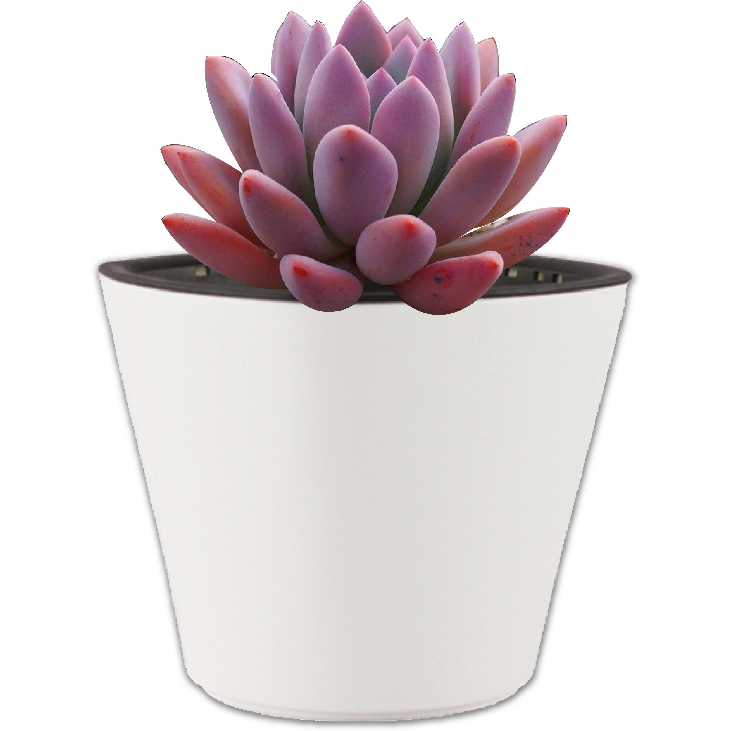 Maceta Autorregable Oc1009 - Smart Garden color Blanco Mate | Coppel.com