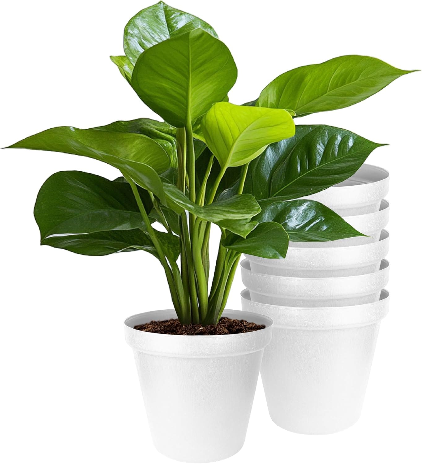 Atmos Homeware Macetas Decorativas Para Interior Y Exterior | Capacidad ...